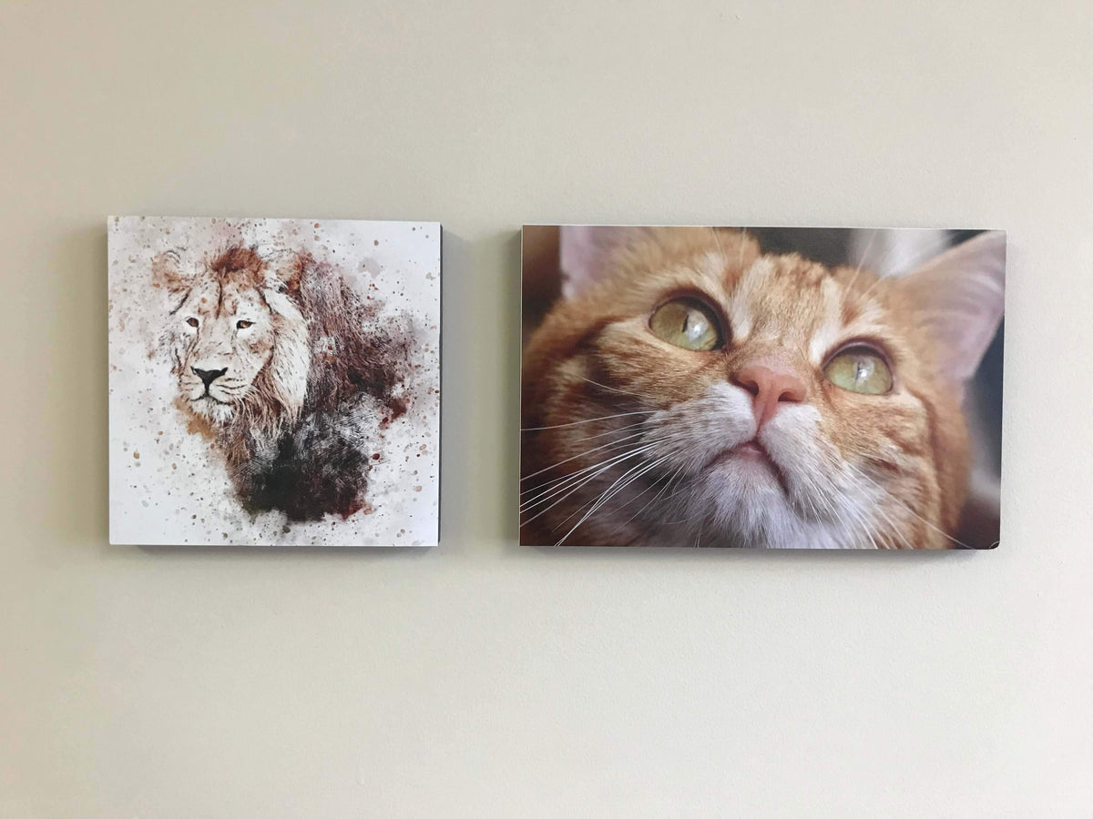 Animals Stickable Wall Decor